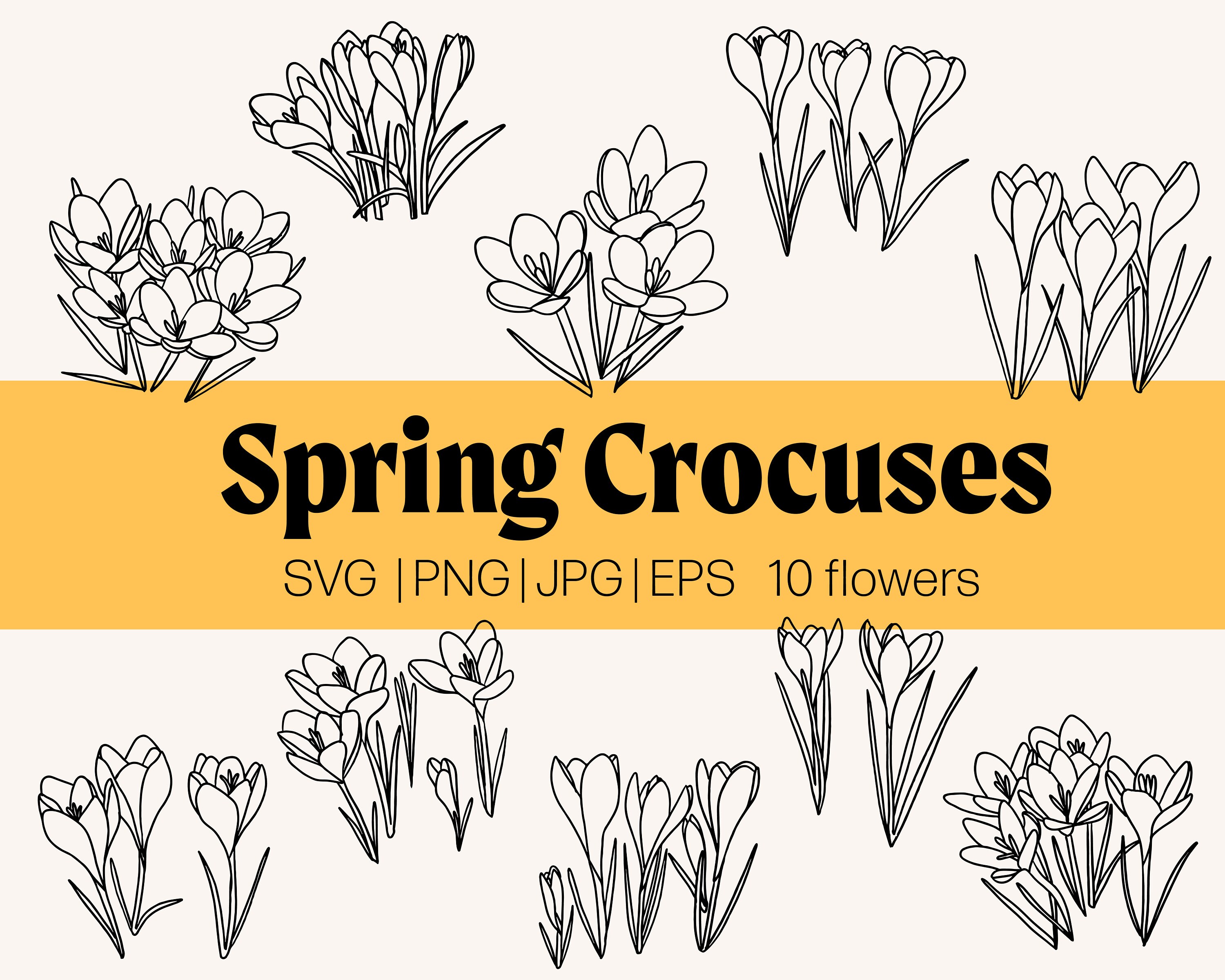 Spring Crocuses SVG Bundle | Crocus Svg, Spring Flowers Svg, Floral Svg ...