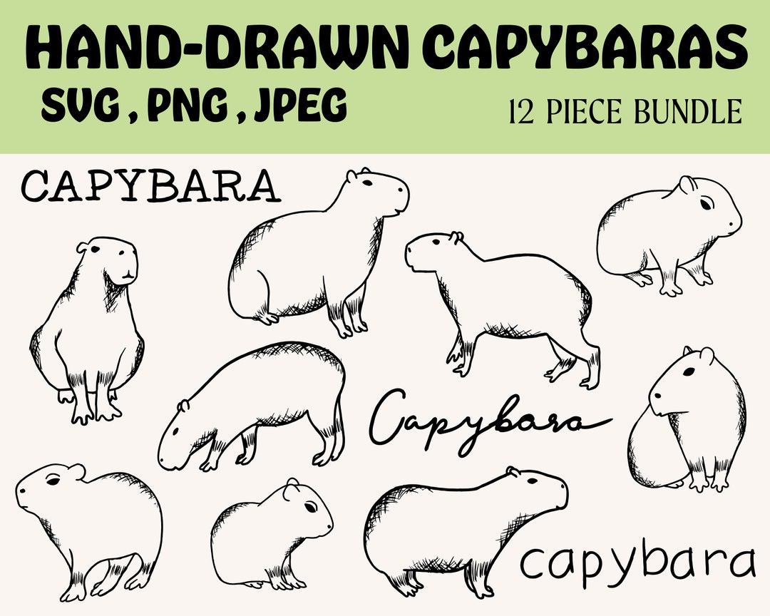 Capybara SVG Bundle | Hand-drawn Capybara Designs Perfect for Capybara ...