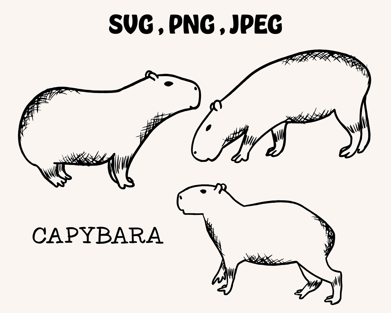 Capybara SVG Bundle Hand-drawn Capybara Designs Perfect for Capybara ...