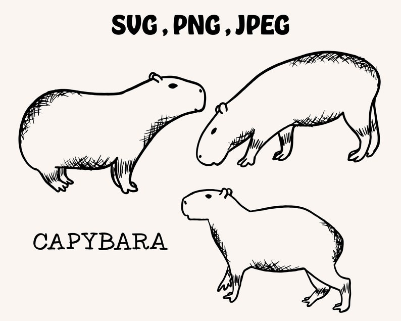 Capybara SVG Bundle | Hand-drawn Capybara Designs Perfect for Capybara ...