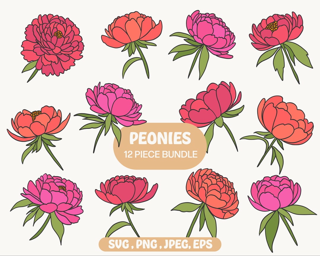 Peonies SVG Bundle Peony Png, Botanical Svg, Flower Png, Peonies ...