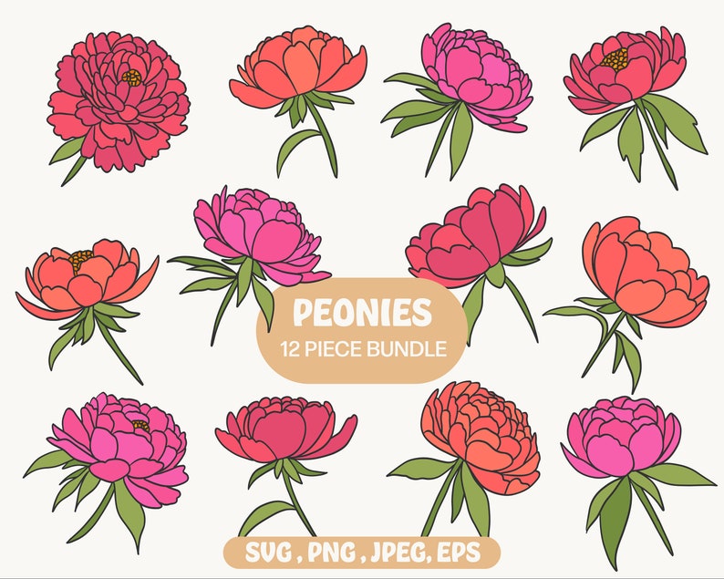 Peonies SVG Bundle Peony Png, Botanical Svg, Flower Png, Peonies ...