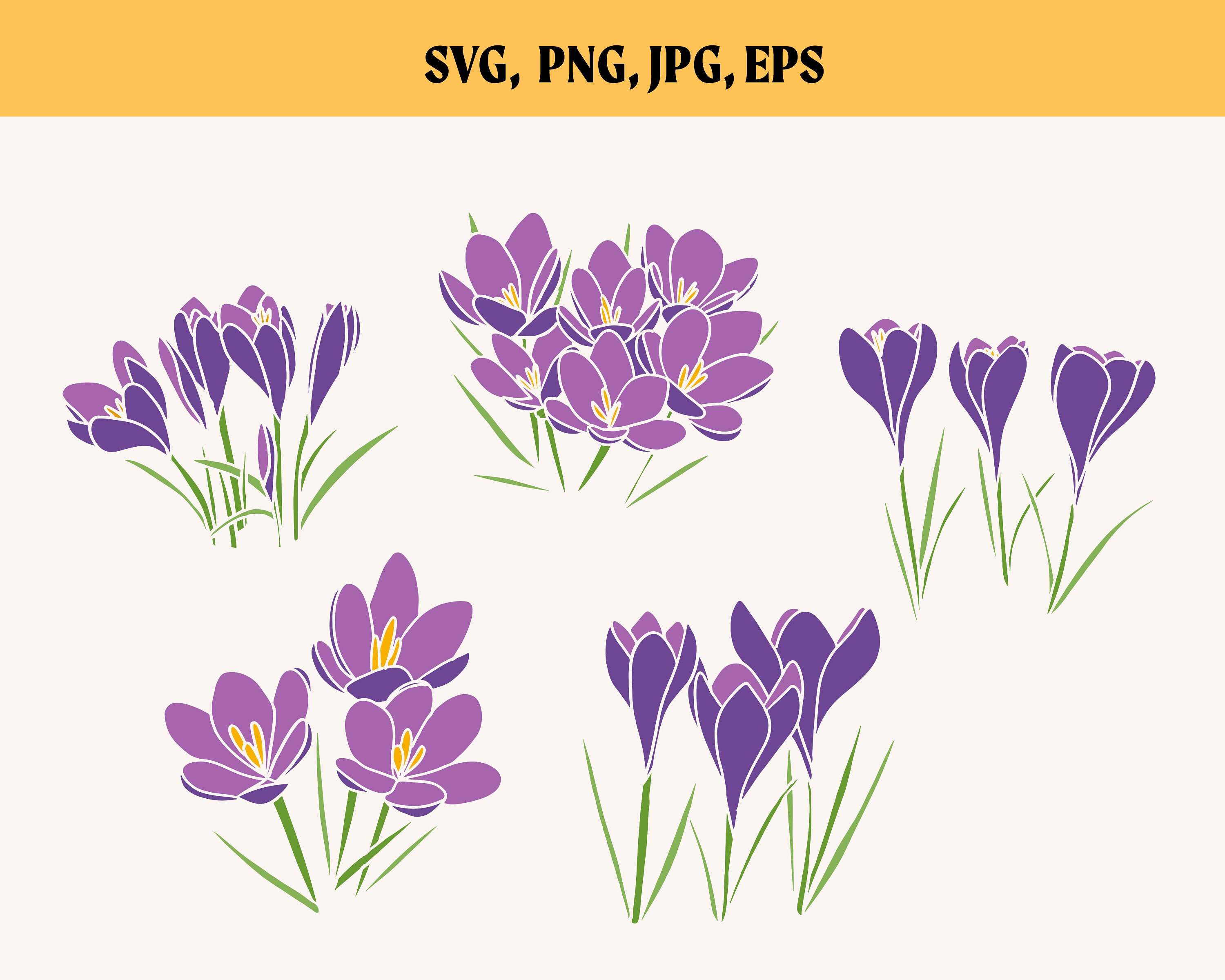 Spring Crocuses SVG Bundle | Crocus Svg, Spring Flowers Svg, Floral Svg ...