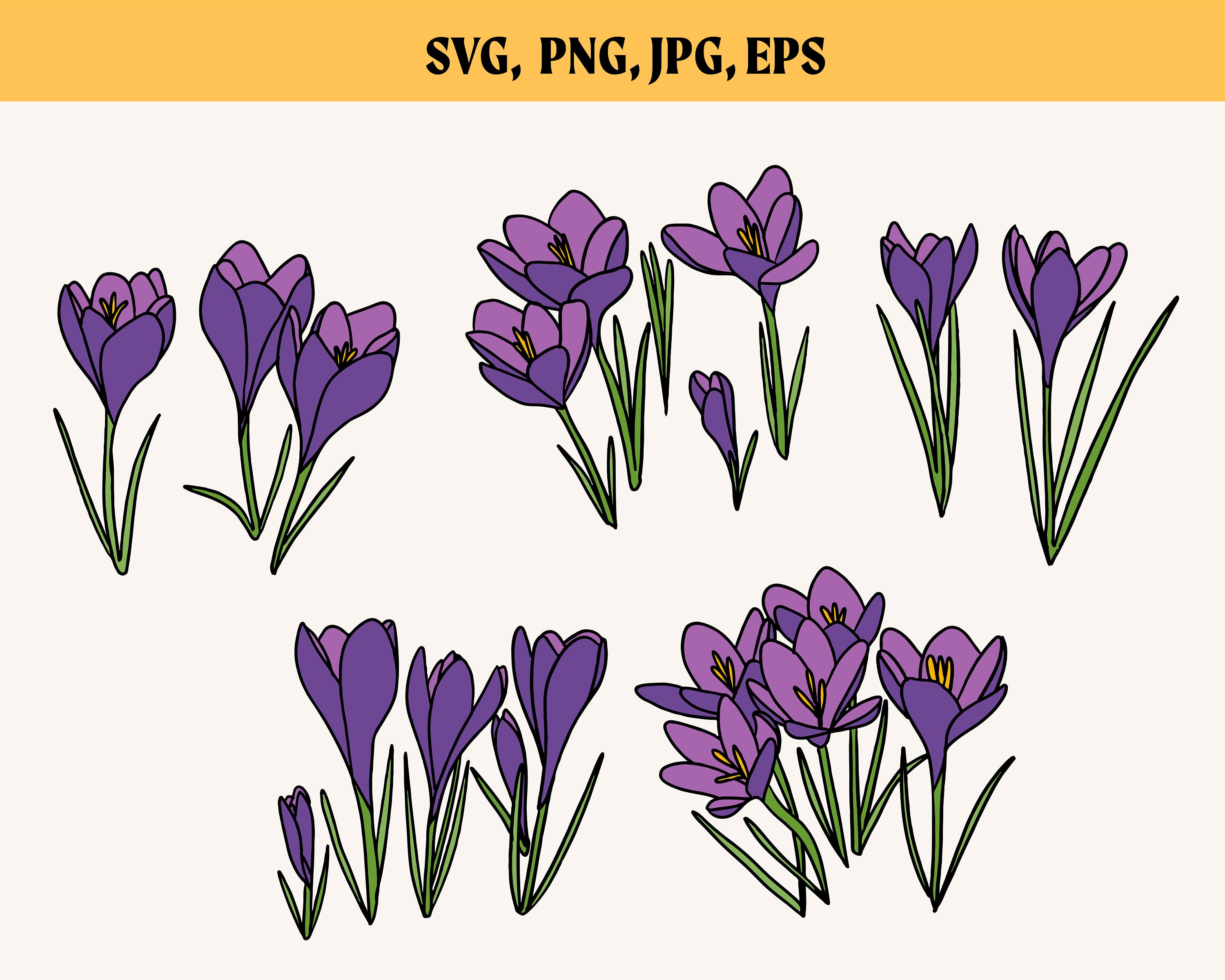 Spring Crocuses SVG Bundle Crocus Svg, Spring Flowers Svg, Floral Svg, Spring Svg, Easter Svg ...