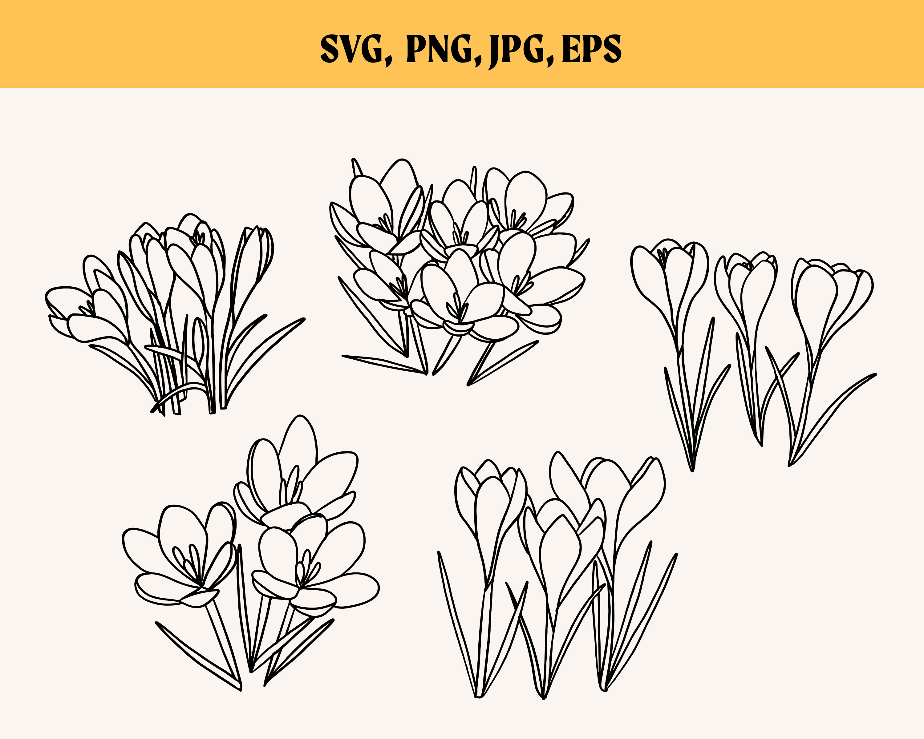 Spring Crocuses SVG Bundle | Crocus Svg, Spring Flowers Svg, Floral Svg ...