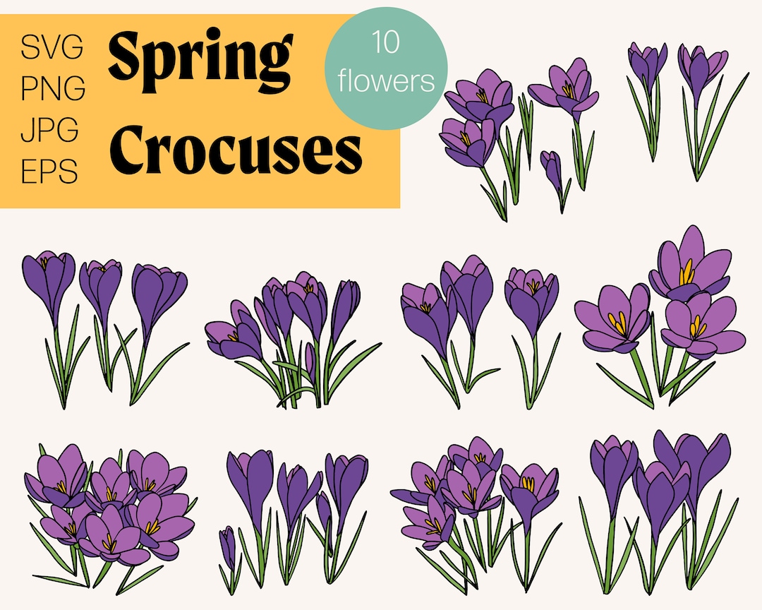Spring Crocuses SVG Bundle Crocus Svg, Spring Flowers Svg, Floral Svg, Spring Svg, Easter Svg ...