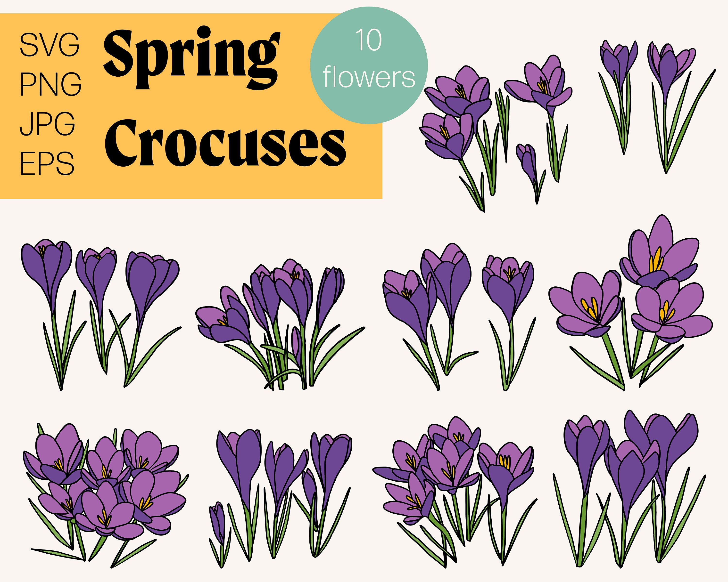 Spring Crocuses SVG Bundle Crocus Svg, Spring Flowers Svg, Floral Svg ...