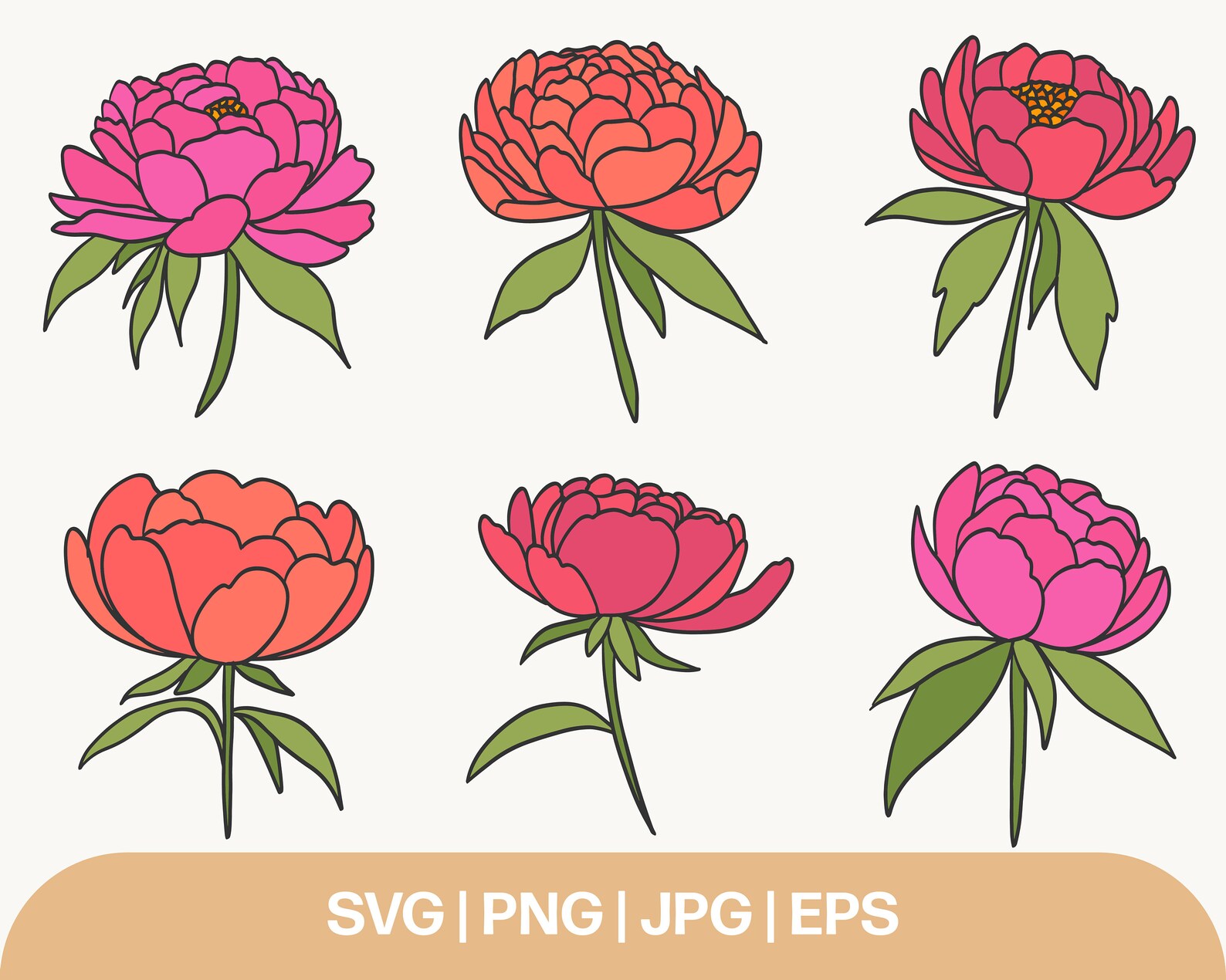 Peonies SVG Bundle Peony Png, Botanical Svg, Flower Png, Peonies ...
