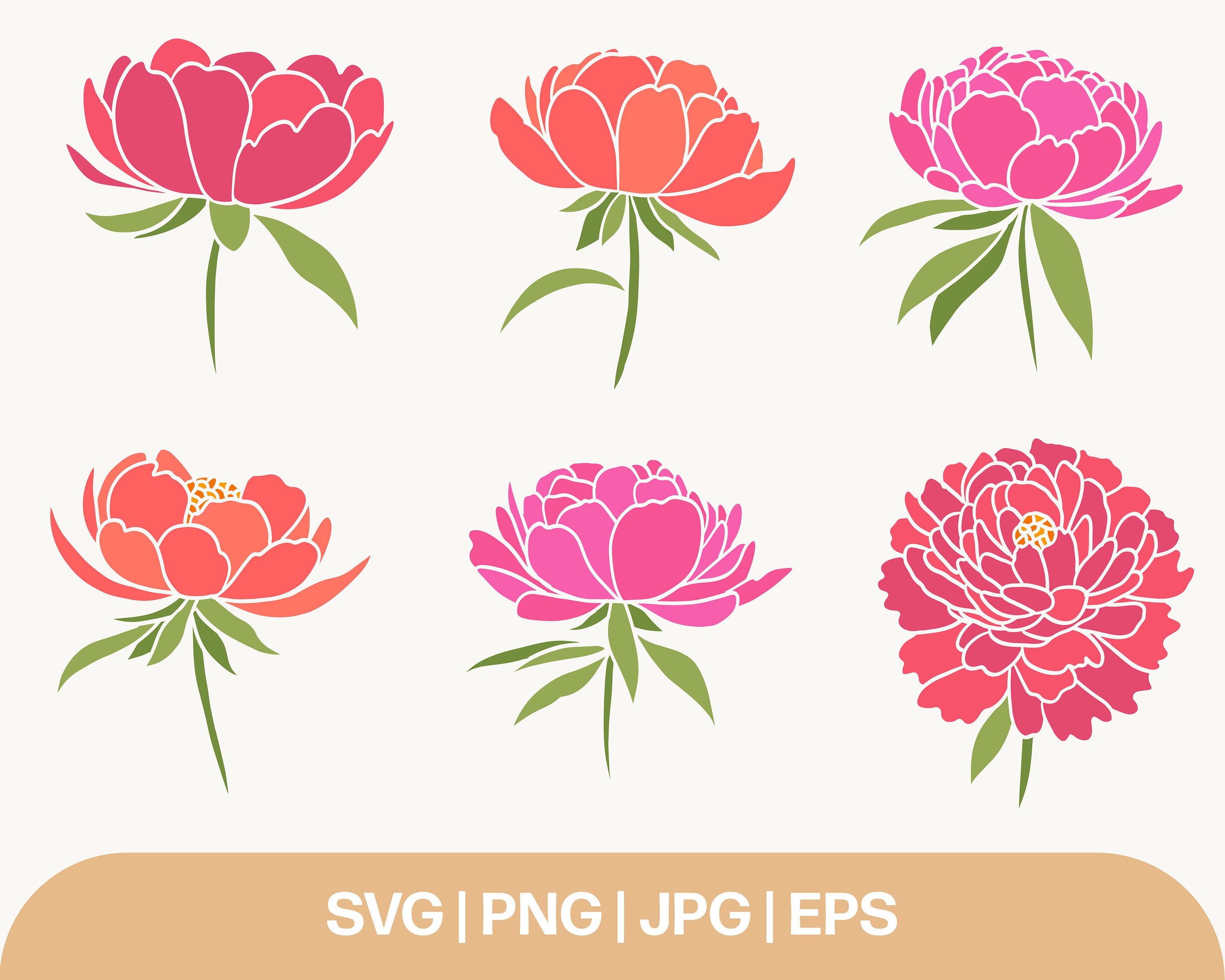 Peonies SVG Bundle Peony Png, Botanical Svg, Flower Png, Peonies ...