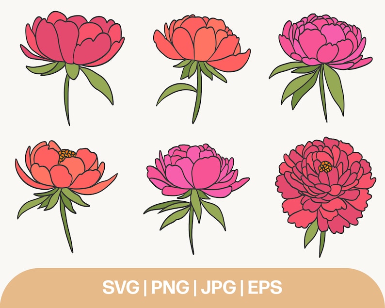 Peonies SVG Bundle Peony Png, Botanical Svg, Flower Png, Peonies ...