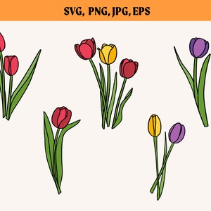 Spring Tulips SVG Bundle | Tulip Svg, Spring Flowers Svg, Floral Svg ...