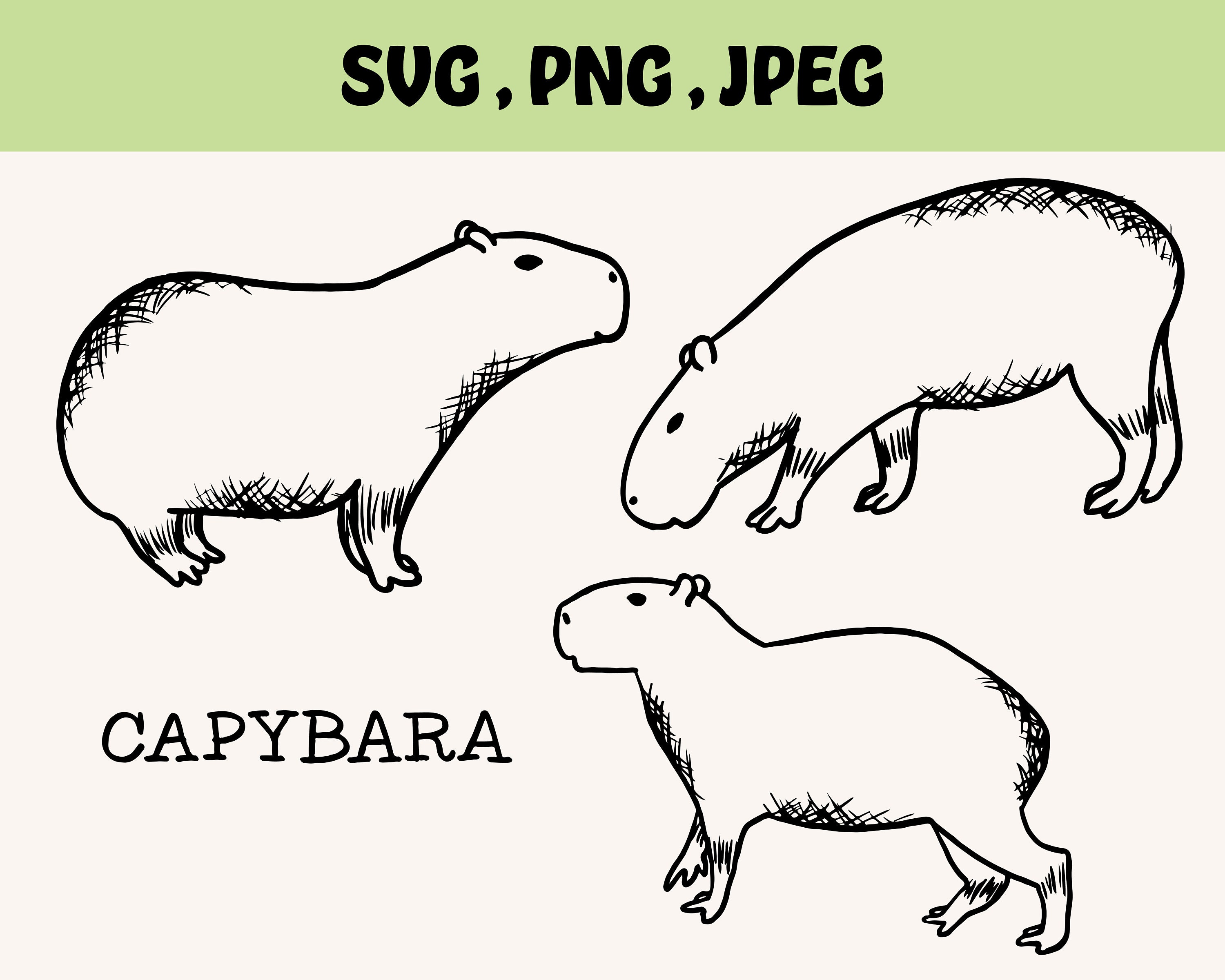 Capybara SVG Bundle Hand-drawn Capybara Designs Perfect for Capybara ...