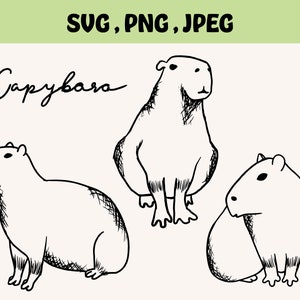 Capybara SVG Bundle | Hand-drawn Capybara Designs Perfect for Capybara ...