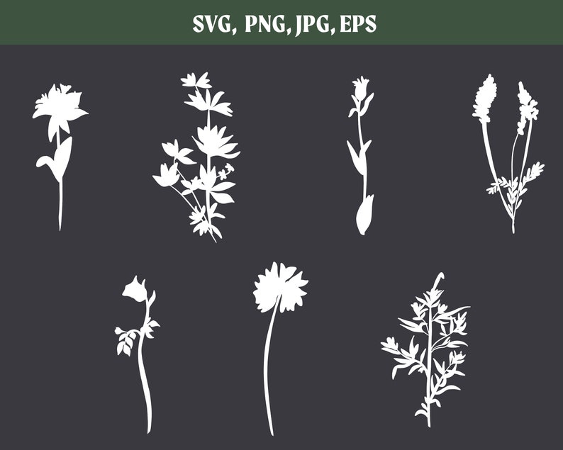 Wildflower SVG Bundle Flower Svg, Floral Svg, Wildflower Png, Wild ...
