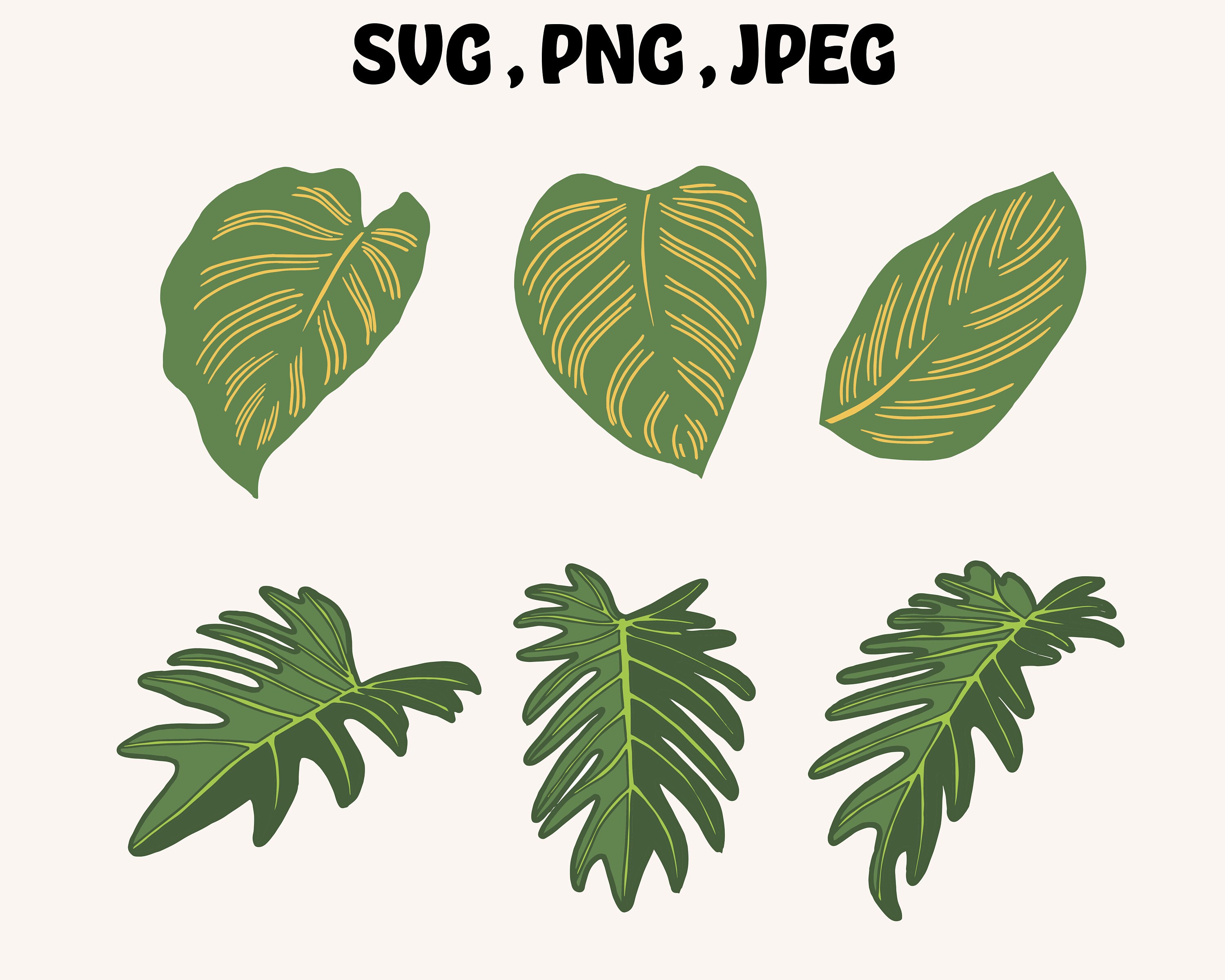 Tropical Leaves Bundle SVG PNG Monstera Leaves SVG Tropical Leaves Cut Files Tropical Leaf Pack ...
