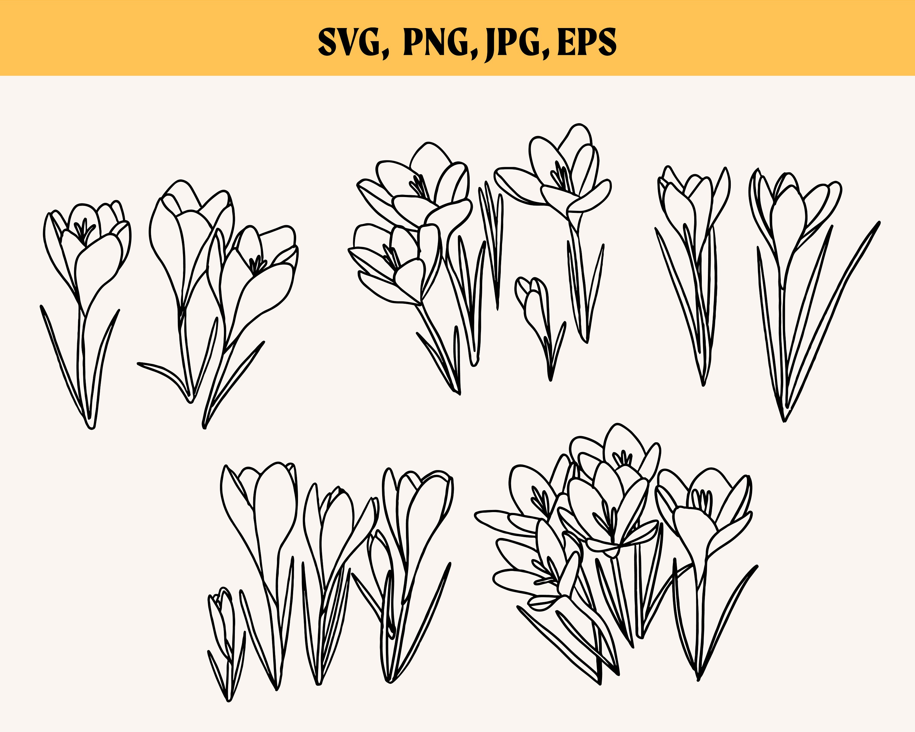 Spring Crocuses SVG Bundle | Crocus Svg, Spring Flowers Svg, Floral Svg ...