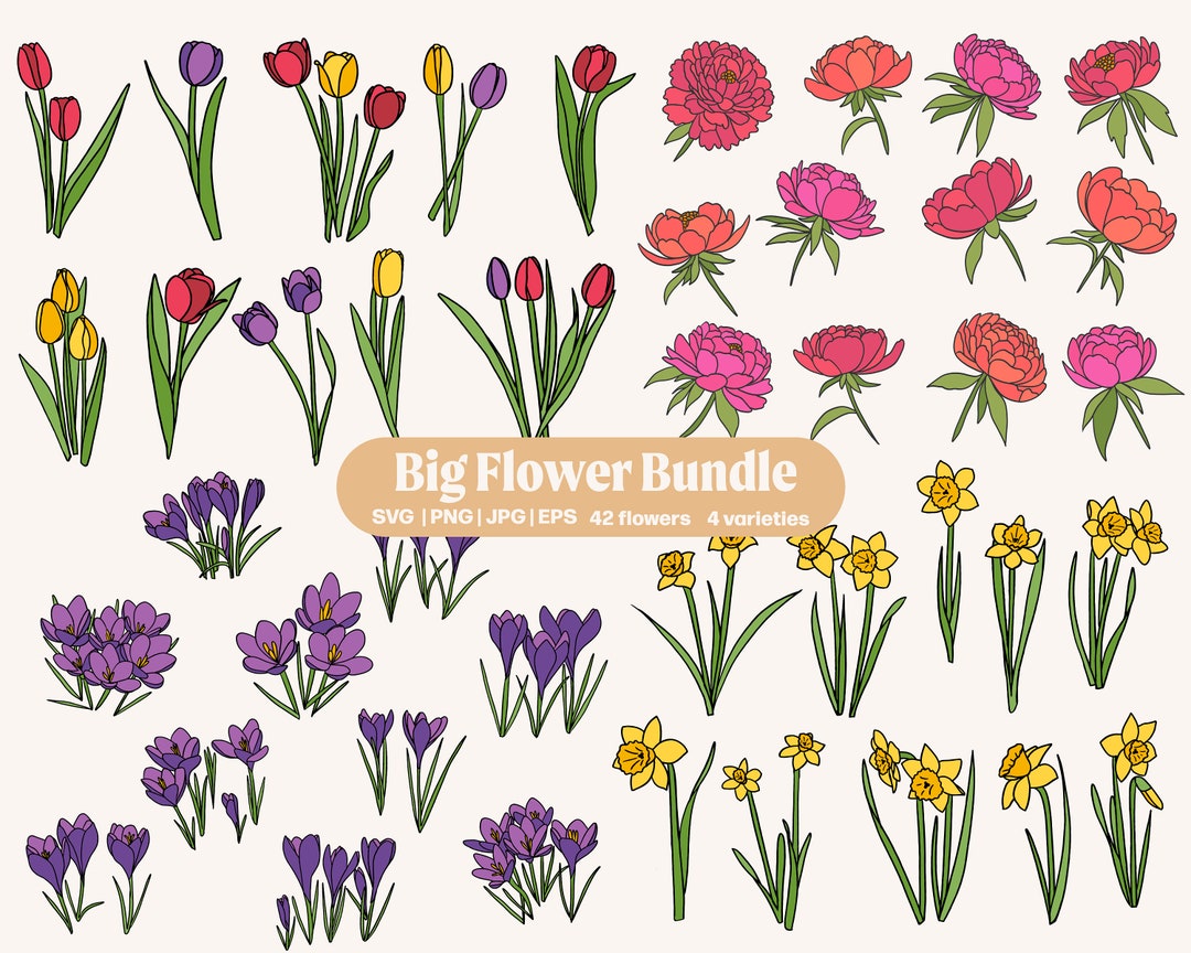 Spring Flower Bundle | Tulips Svg, Daffodil Svg, Peonies Svg, Crocuses ...