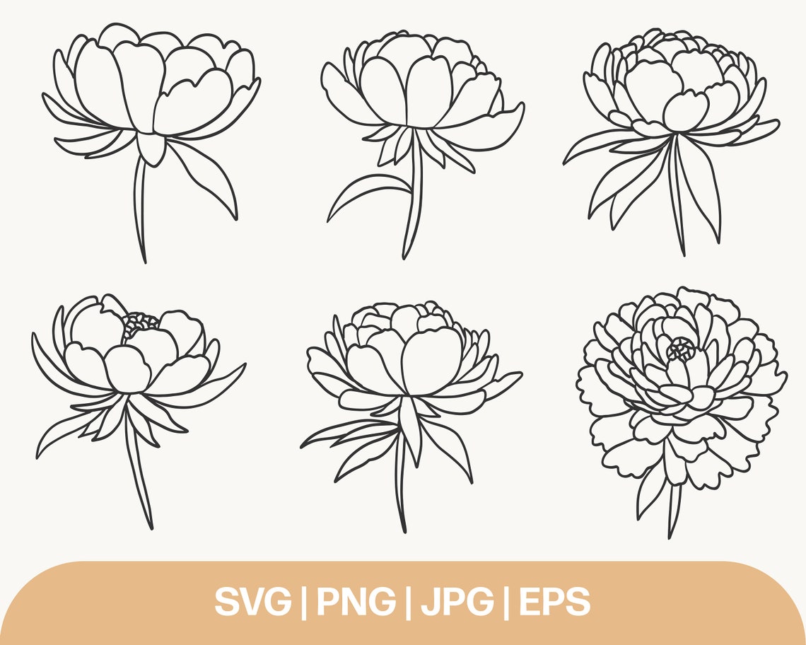 Peonies SVG Bundle Peony Png, Botanical Svg, Flower Png, Peonies ...