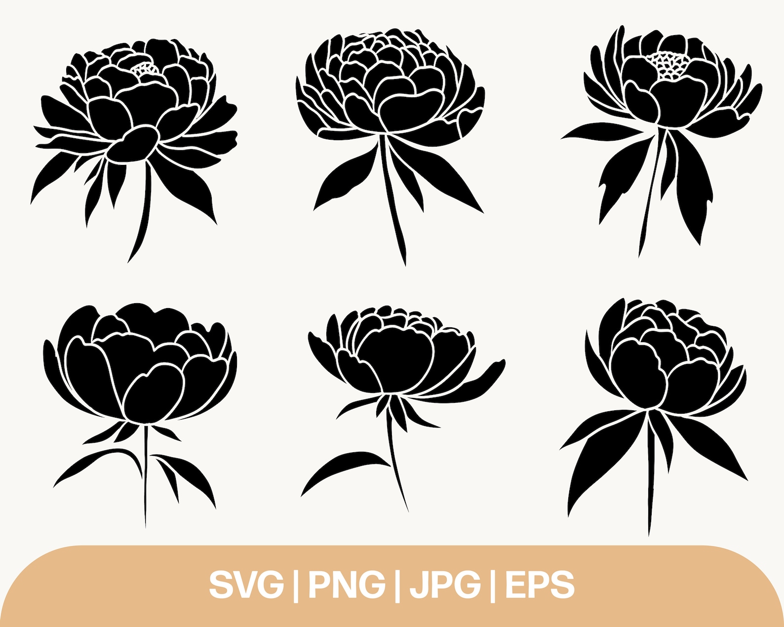 Peonies SVG Bundle Peony Png, Botanical Svg, Flower Png, Peonies ...