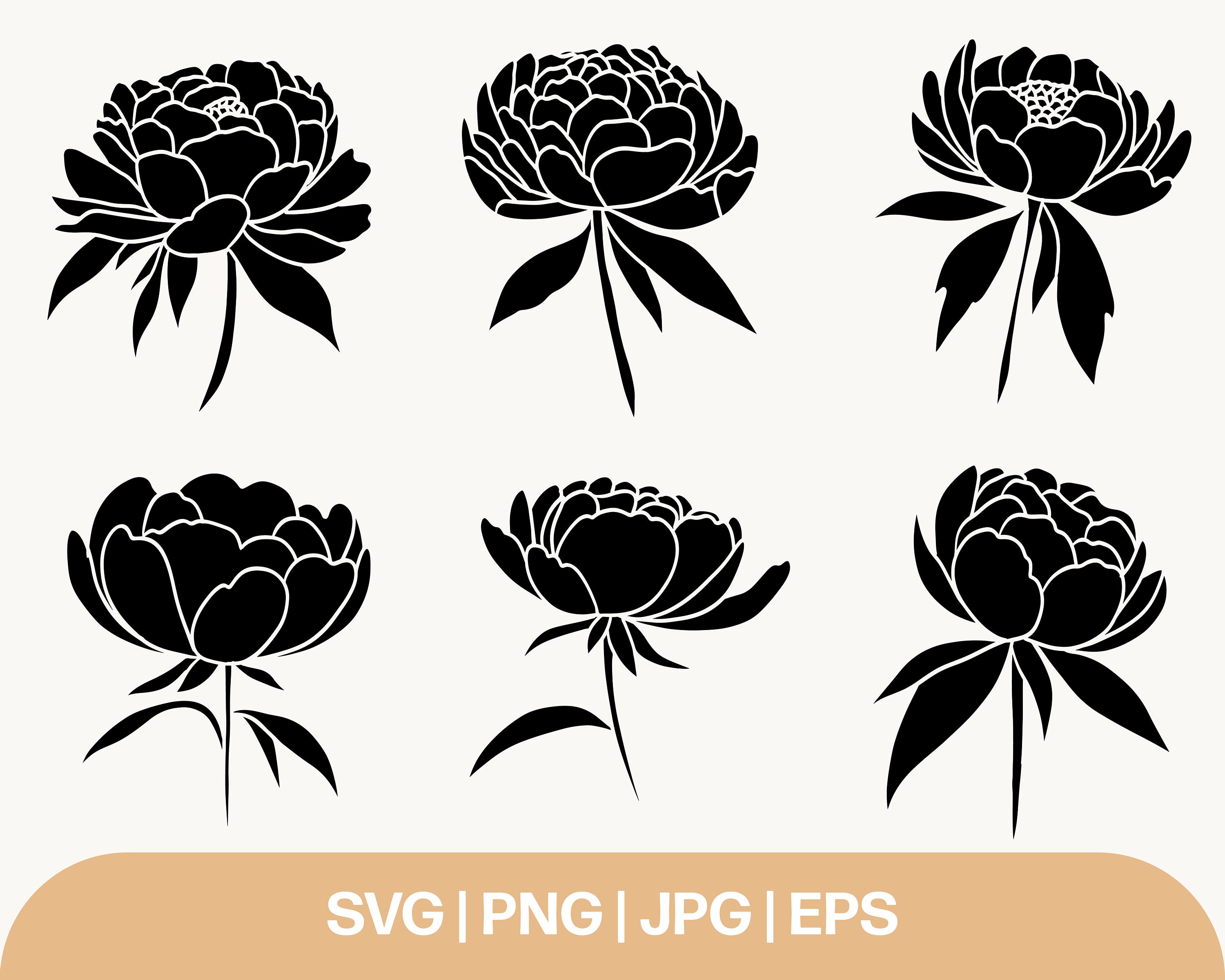 Peonies SVG Bundle Peony Png, Botanical Svg, Flower Png, Peonies ...