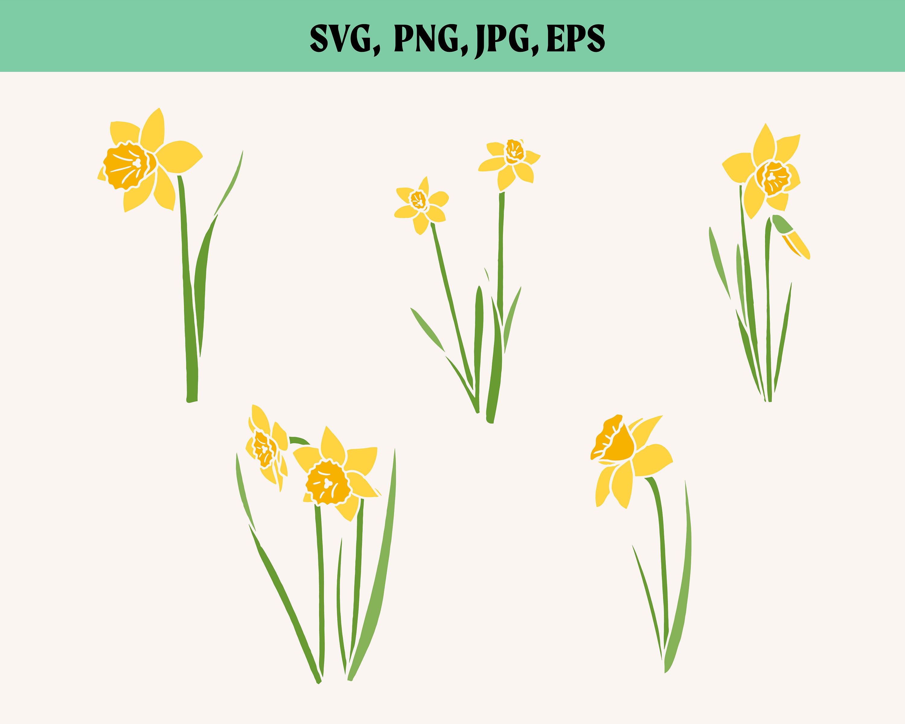 Spring Daffodil SVG Bundle Daffodil Svg, Spring Flowers Svg, Floral Svg ...
