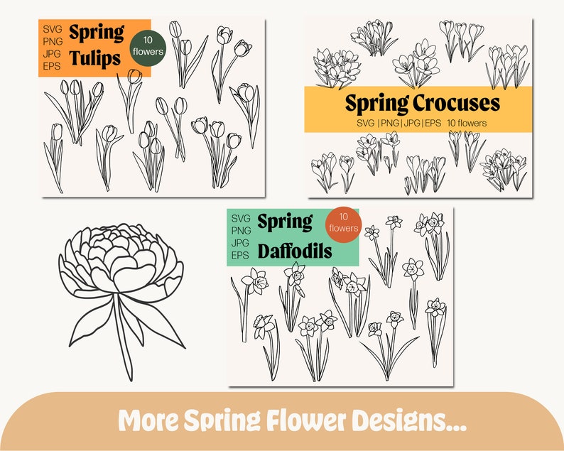 Peonies SVG Bundle | Peony Png, Botanical Svg, Flower Png, Peonies ...