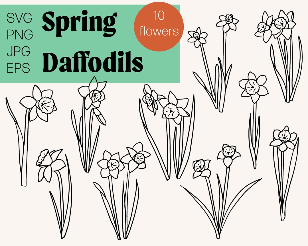 Spring Daffodil SVG Bundle | Daffodil Svg, Spring Flowers Svg, Floral ...