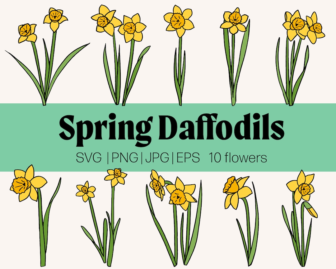 Spring Daffodil SVG Bundle | Daffodil Svg, Spring Flowers Svg, Floral ...