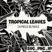 Tropical Leaves Bundle | Tropical Leaf Svg, Monstera Leaf Svg, Jungle Leaves Svg, Botanical Svg ...
