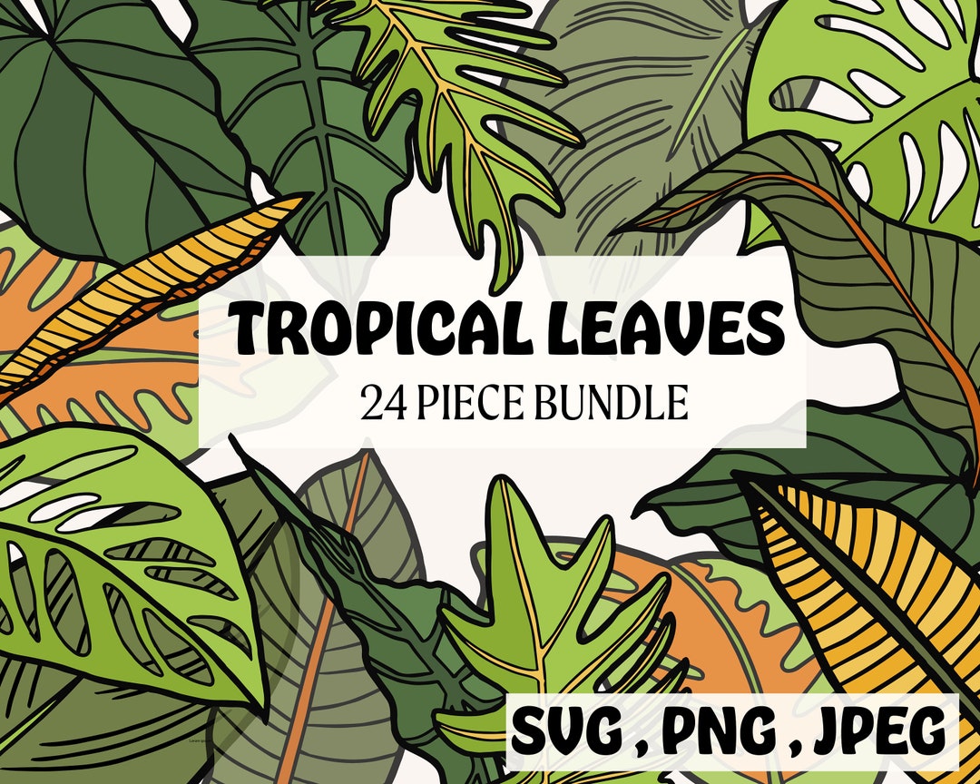 Tropical Leaves Bundle | SVG PNG | Monstera Leaves SVG | Tropical Leaves Cut Files | Tropical ...