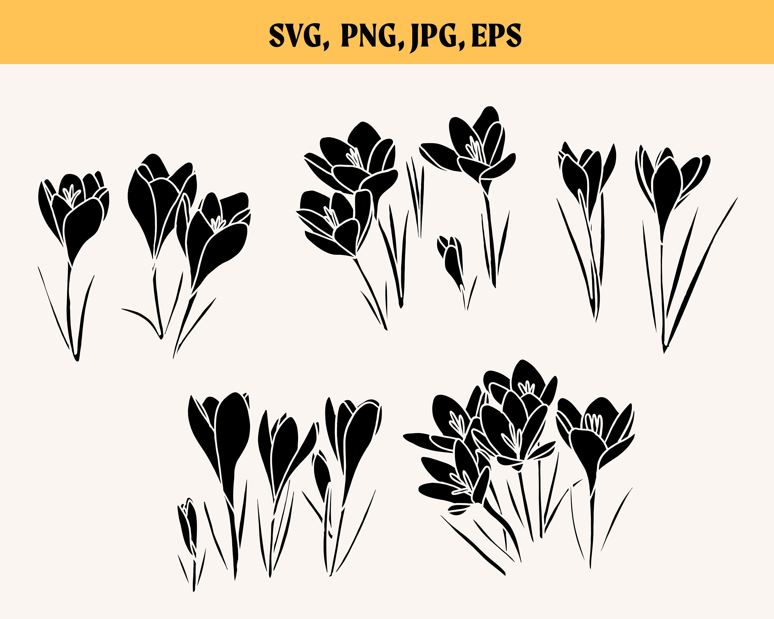 Spring Crocuses SVG Bundle | Crocus Svg, Spring Flowers Svg, Floral Svg ...
