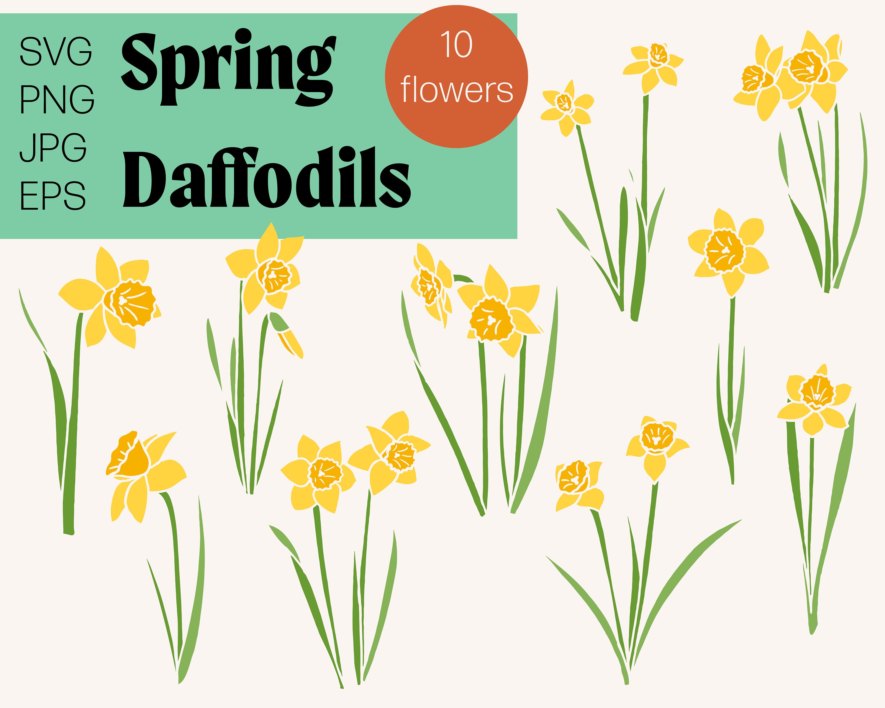 Spring Daffodil SVG Bundle | Daffodil Svg, Spring Flowers Svg, Floral ...