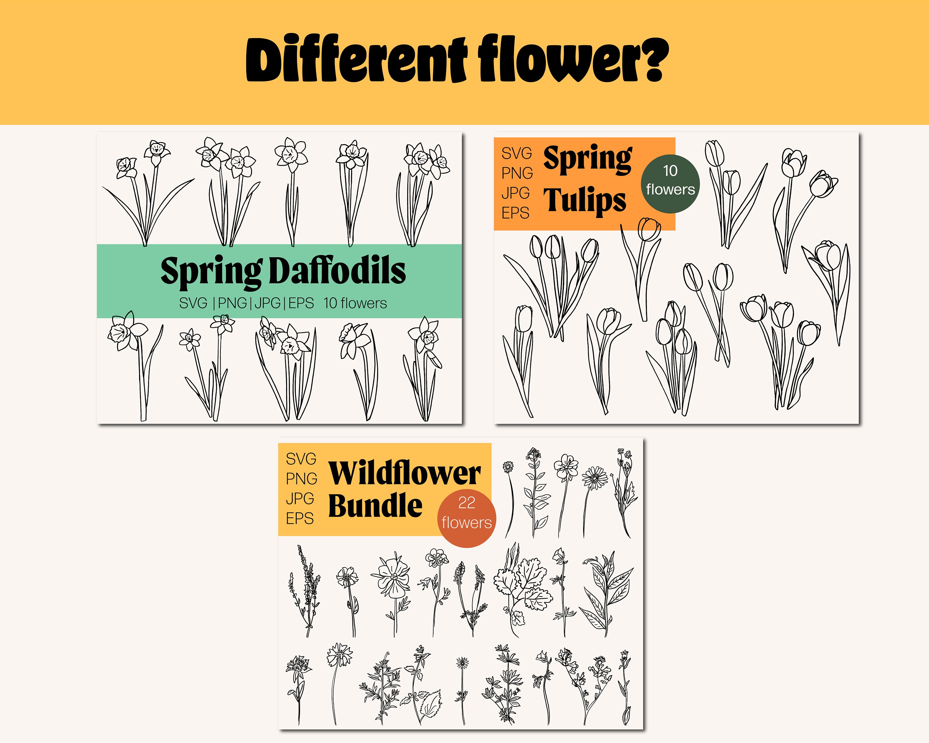 Spring Crocuses SVG Bundle | Crocus Svg, Spring Flowers Svg, Floral Svg ...