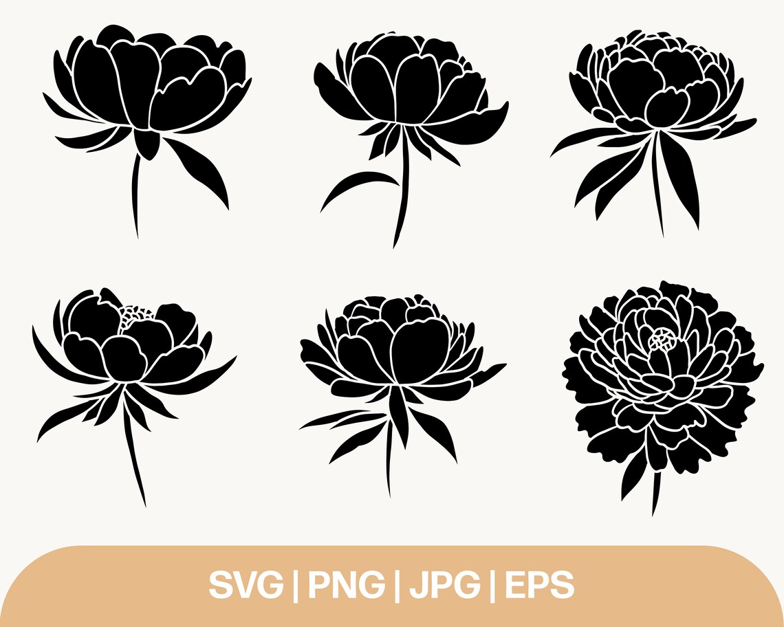 Peonies SVG Bundle Peony Png, Botanical Svg, Flower Png, Peonies ...