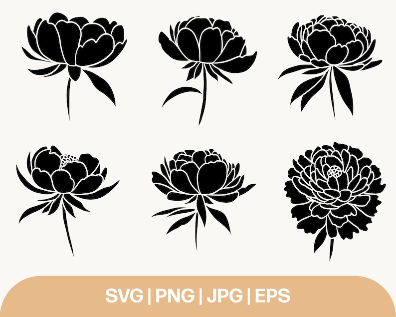 Peonies SVG Bundle Peony Png, Botanical Svg, Flower Png, Peonies ...