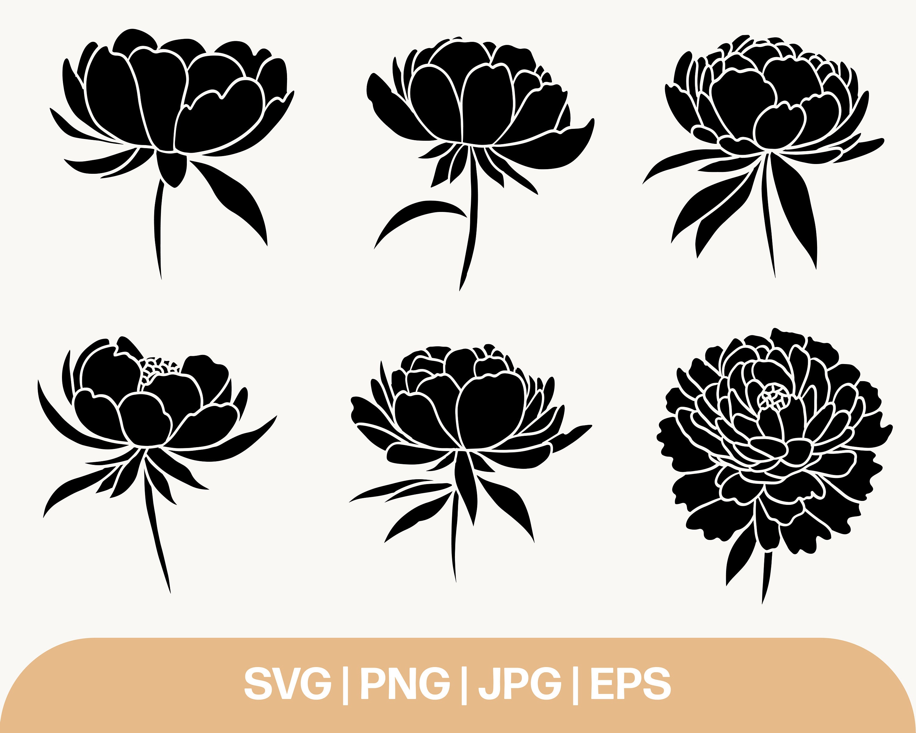 Peonies SVG Bundle Peony Png, Botanical Svg, Flower Png, Peonies ...
