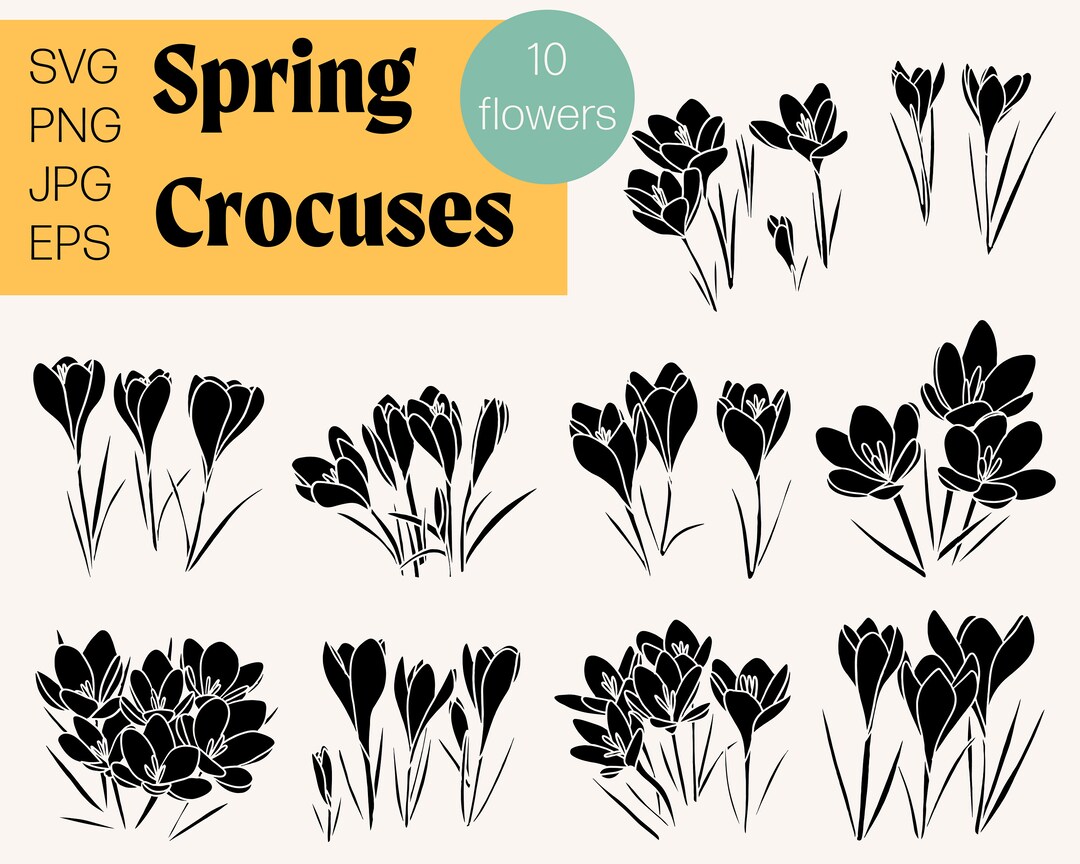 Spring Crocuses SVG Bundle | Crocus Svg, Spring Flowers Svg, Floral Svg ...