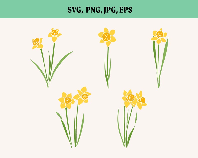Spring Daffodil SVG Bundle | Daffodil Svg, Spring Flowers Svg, Floral ...