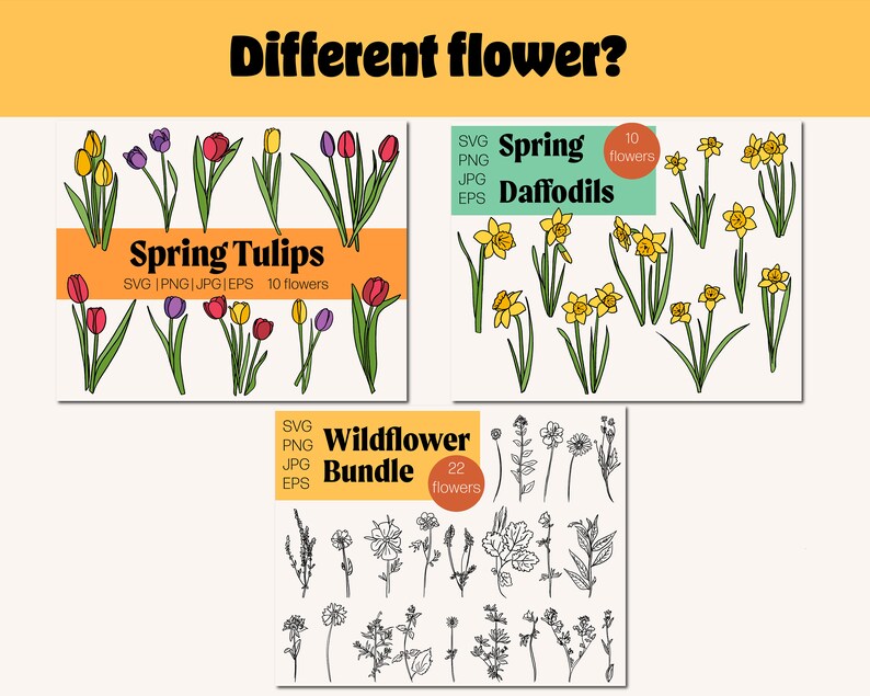 Spring Crocuses SVG Bundle Crocus Svg, Spring Flowers Svg, Floral Svg ...