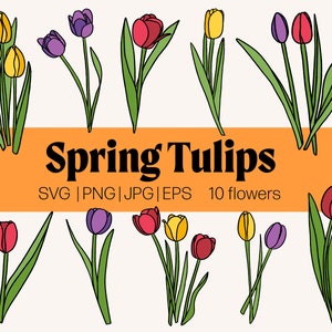 Spring Tulips SVG Bundle | Tulip Svg, Spring Flowers Svg, Floral Svg ...