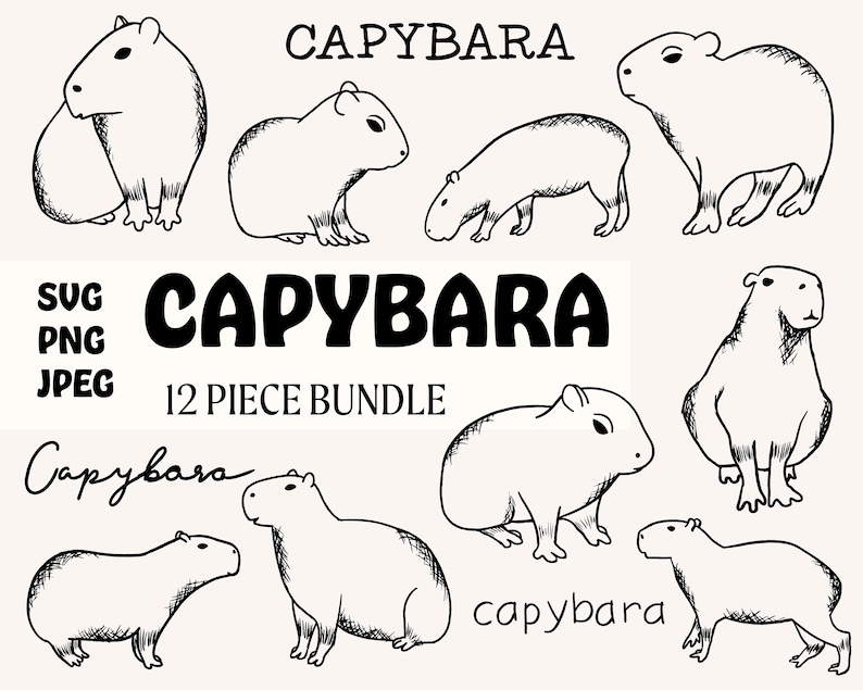 Capybara SVG Bundle | Hand-drawn Capybara Designs Perfect for Capybara ...