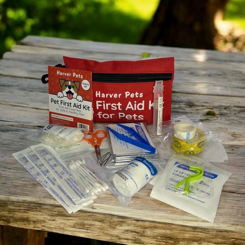 Dog First Aid - Etsy UK