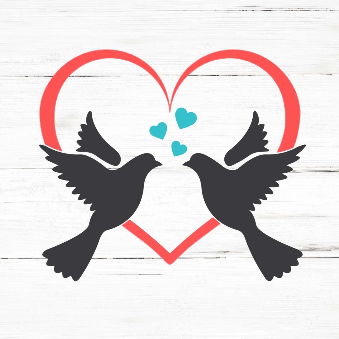 Aves Svg, Aves Png, Paquete de Aves, Diseños de Aves, Aves Cricut ...