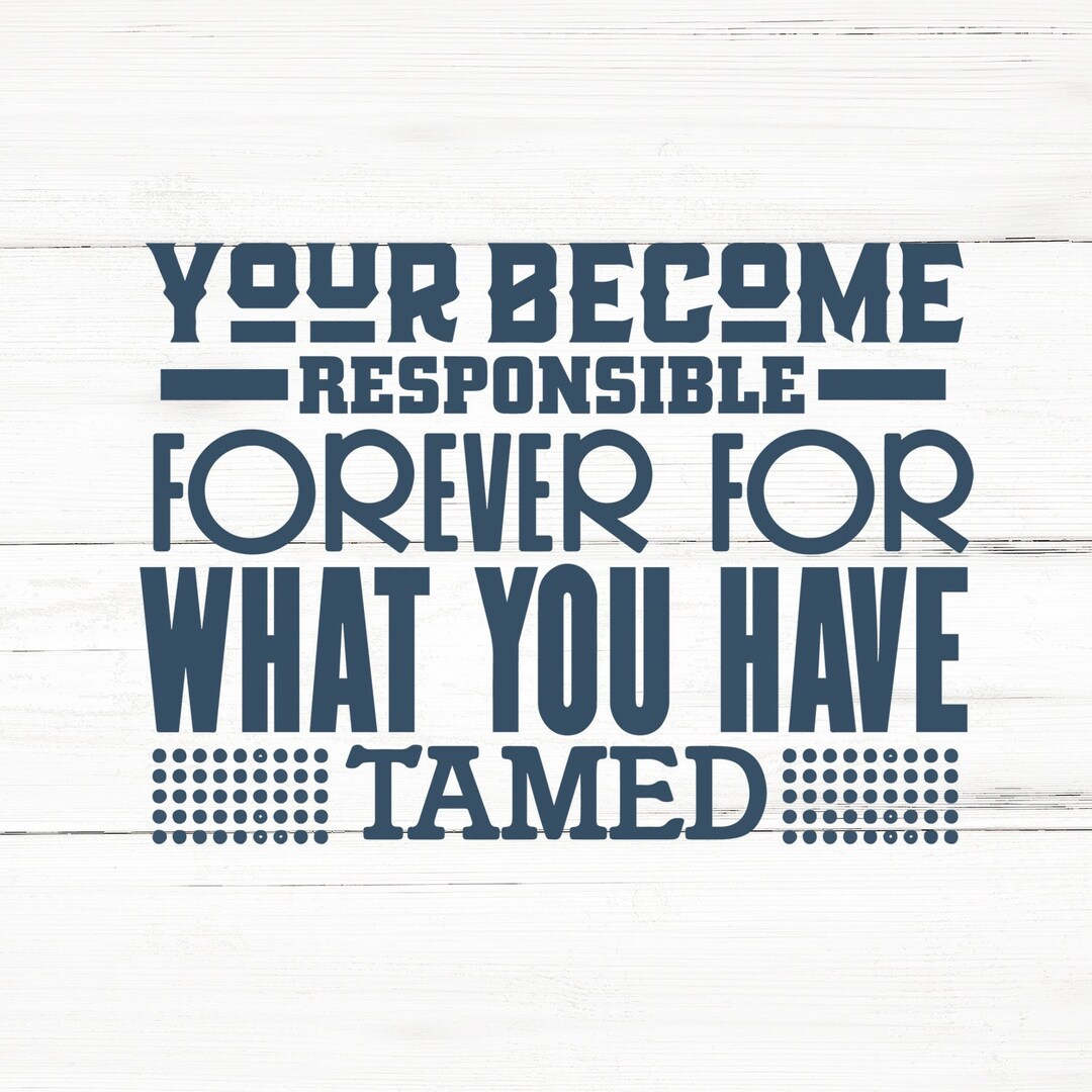 Flight Svg, Flight Png, Flight Bundle, Flight Designs, Flight Cricut - Etsy