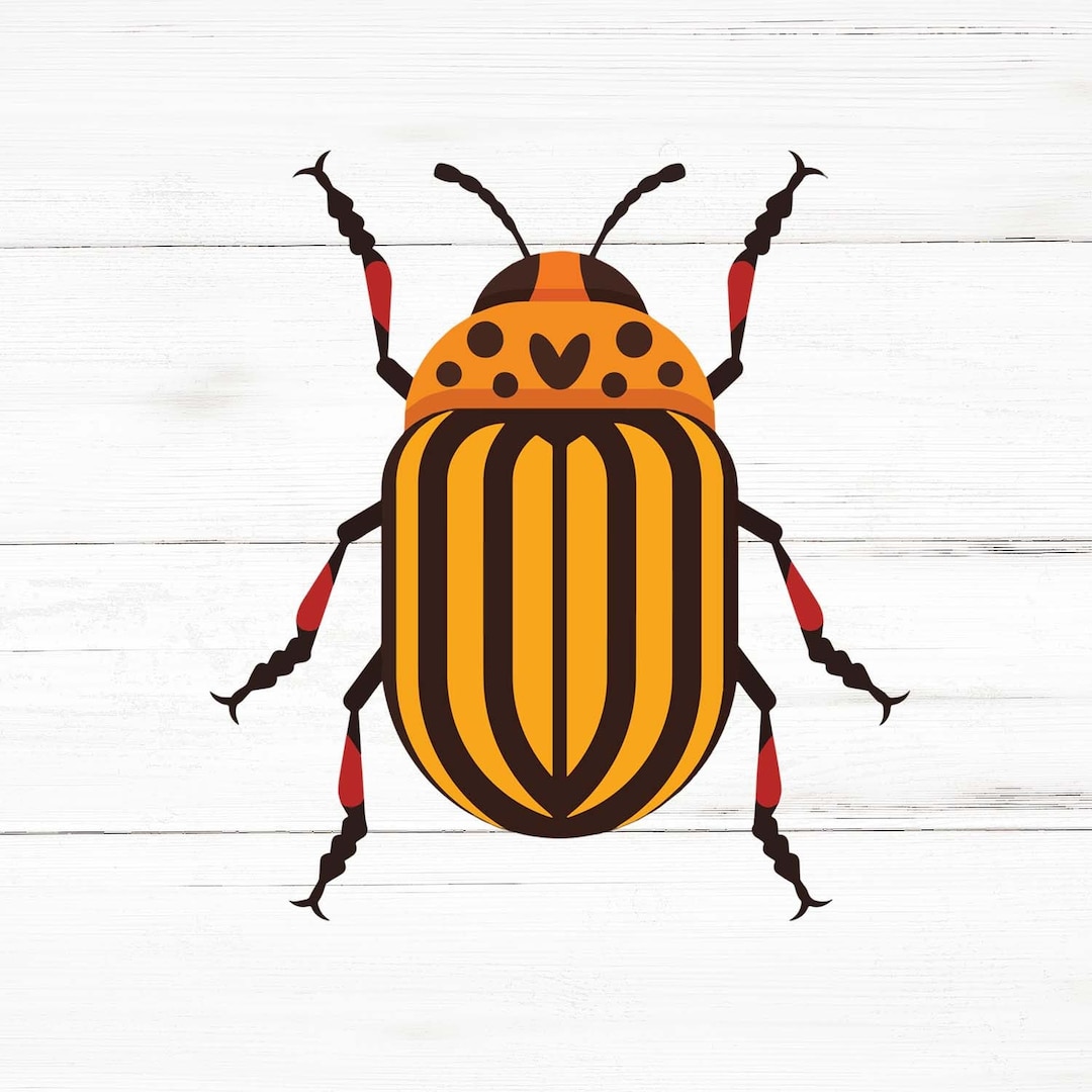 Cockroach Svg, Cockroach Png, Cockroach Bundle, Cockroach Designs ...