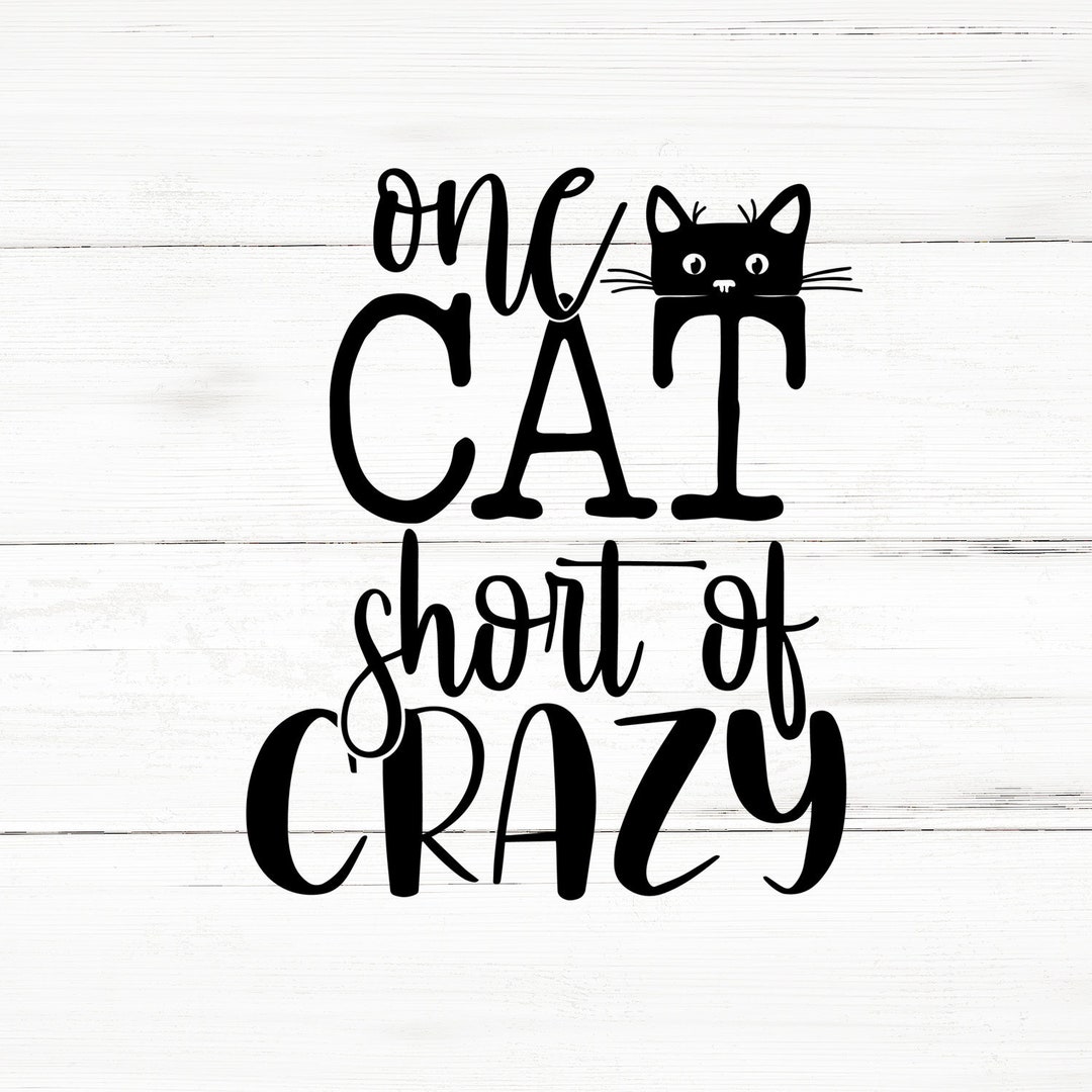 Cat Svg, Veterinarian Png, Veterinarian Bundle, Veterinarian Designs ...