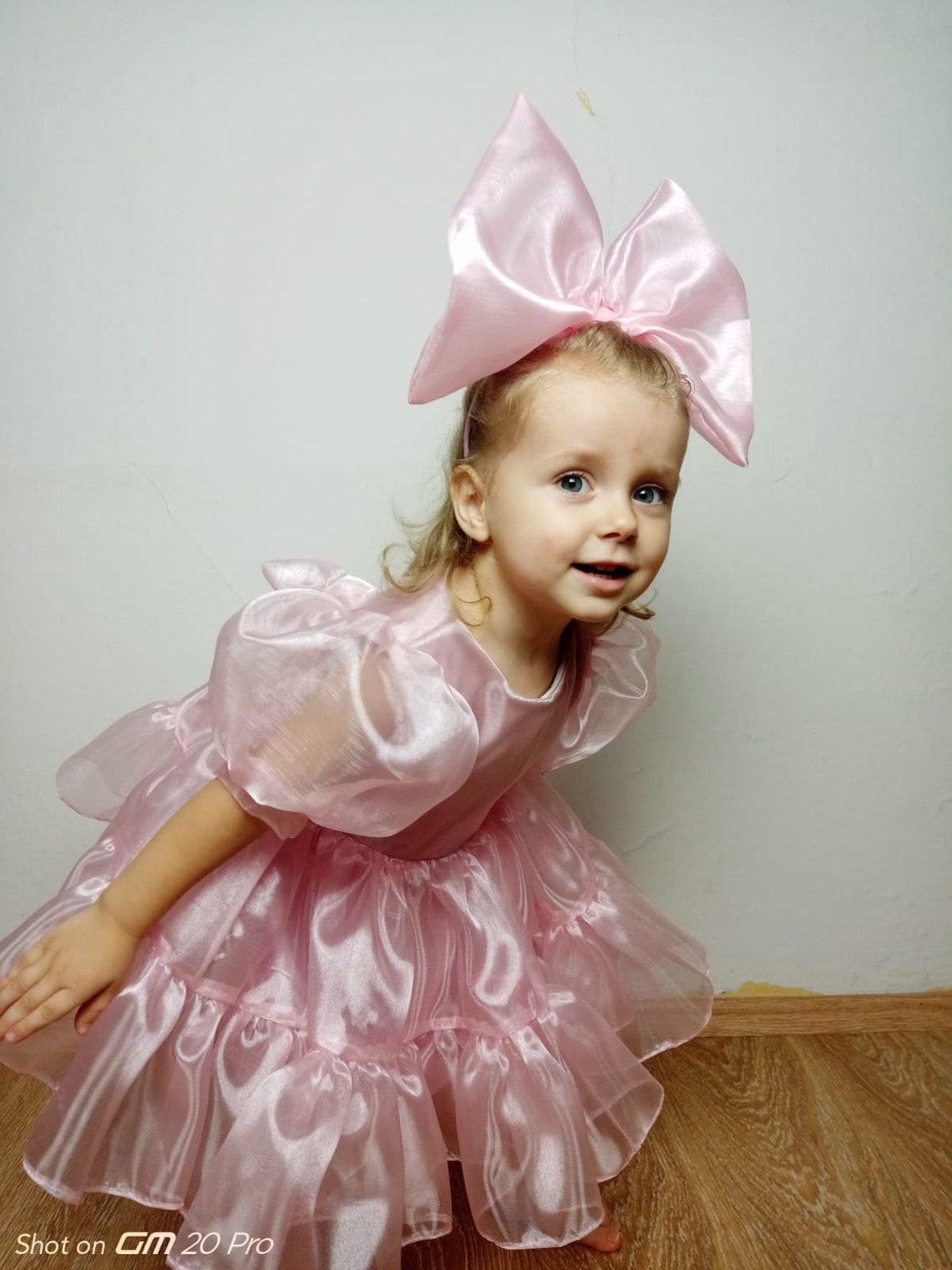 Girls Organza Dress Set With Bowtie Hairband, Flower Girl Dress, Puffy ...