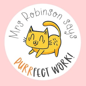 X35 Personalised Well Done Fun Pun TEACHER STICKERS - Teacher Rewards ...