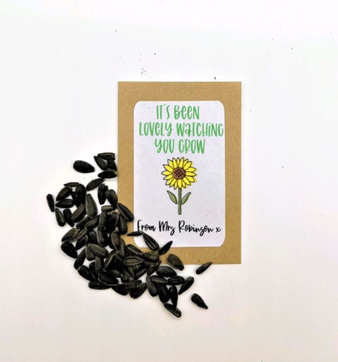 Personalised Teacher Seed Packets Envelopes With Sunflower Seeds | End ...