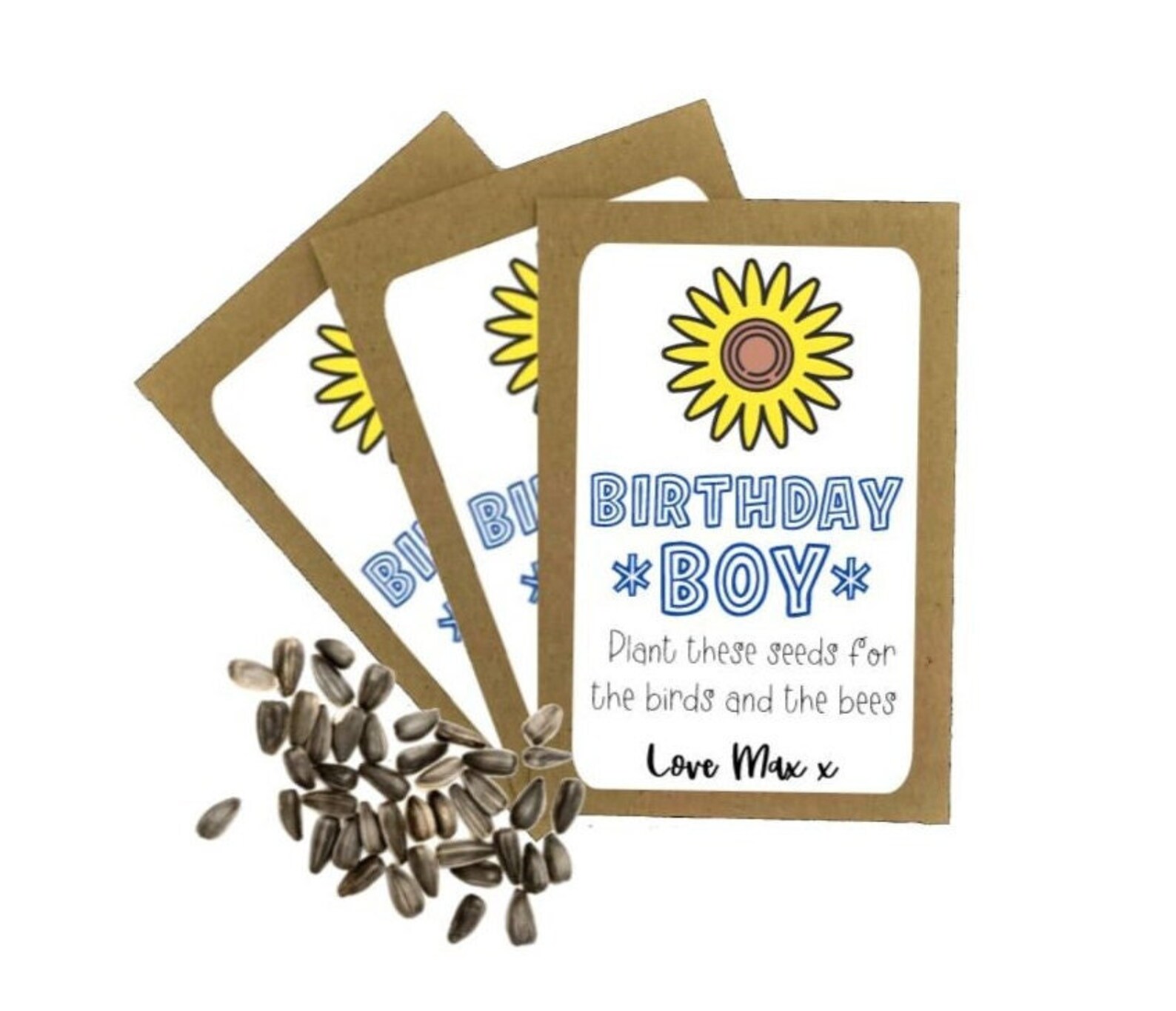 Personalised Birthday Boy Seed Packets Envelopes With Seeds | Eco ...